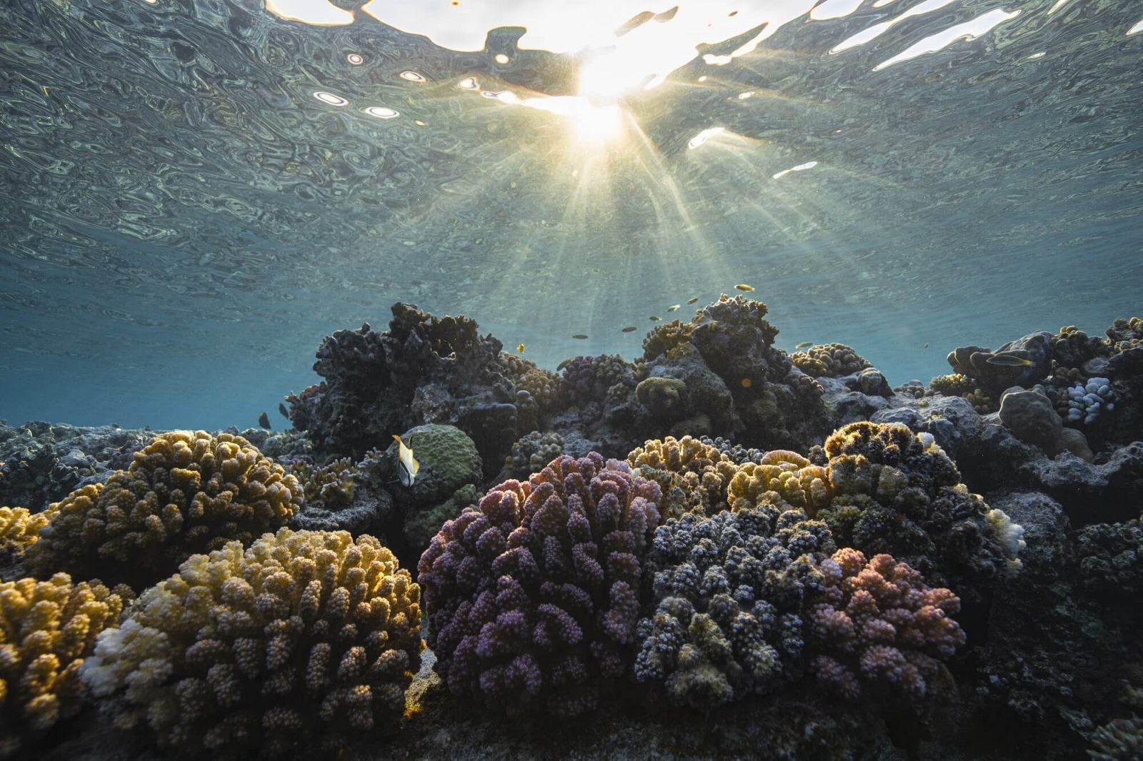 Best Photographers Journey to NEOM - NEOM NEWS